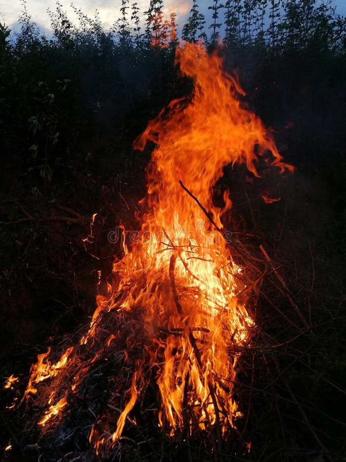 Fire in nature stock photo. Image of blue, ozon, land - 159600428