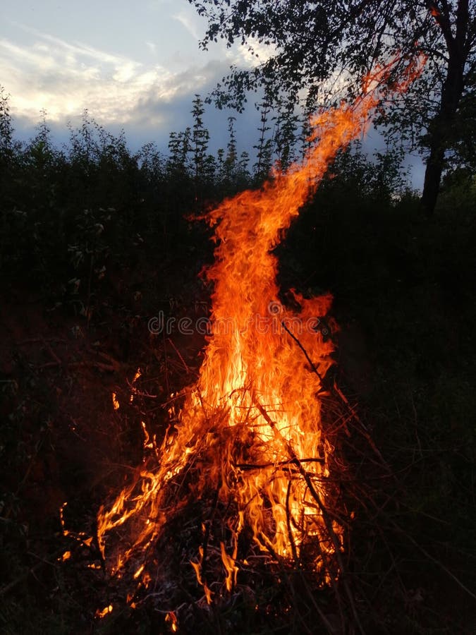 Fire in nature stock image. Image of blue, forest, ozon - 159600435
