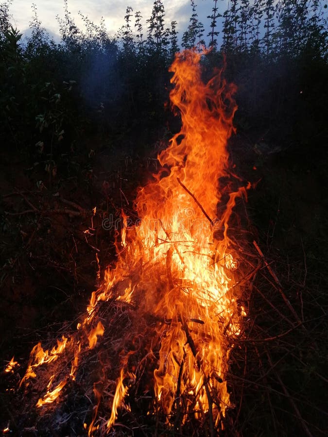 Fire in nature stock image. Image of forest, ozon, land - 159600461