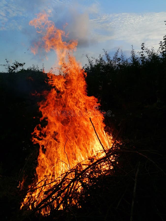Fire in nature stock photo. Image of nature, forest - 159600530