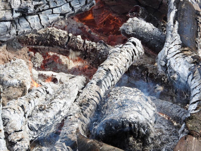 Fire Near the Fire, Smoldering Tree. Background, Texture Concept Stock ...