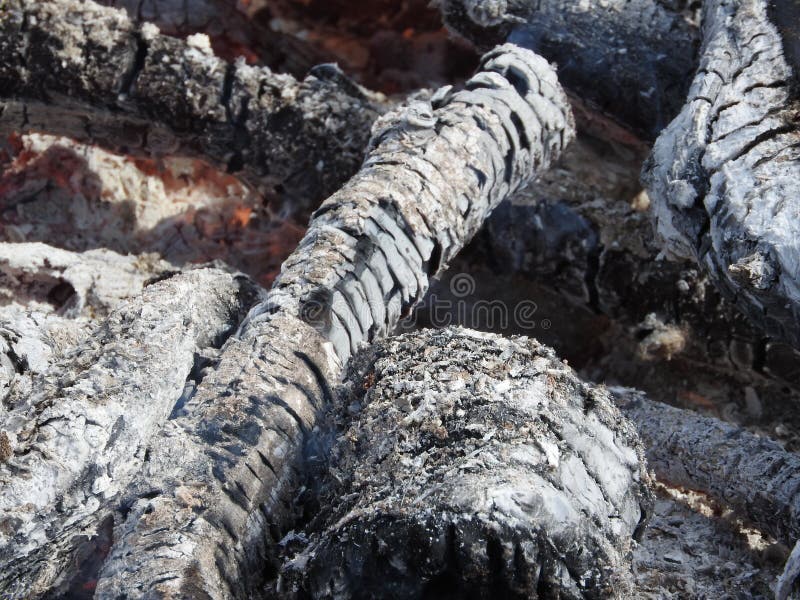 Fire Near the Fire, Smoldering Tree. Background, Texture Concept Stock ...