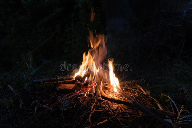 Fire at Night in Camp from Wooden Logs. Stock Photo - Image of light ...