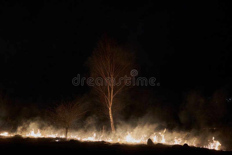 Fire at Night in the Field,ecological Disaster, Fire at Night, Burning ...