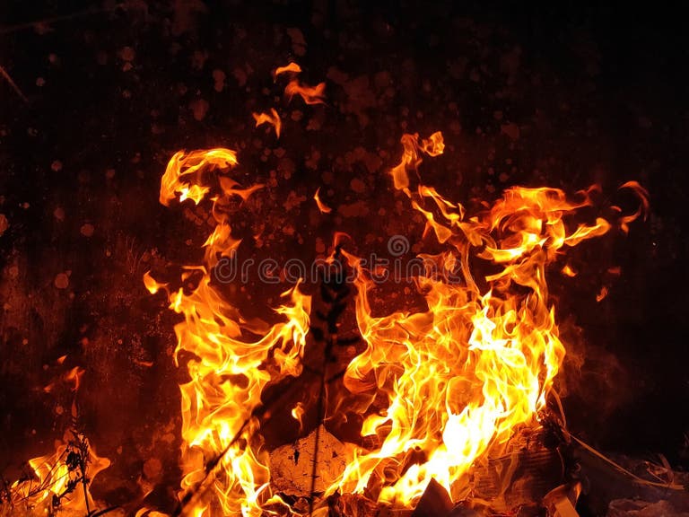 Fire in night mode stock photo. Image of campfire, nature - 301047086
