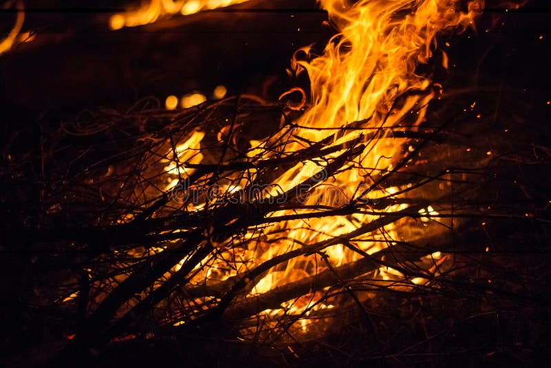 Fire in night stock image. Image of nature, burning - 110879039