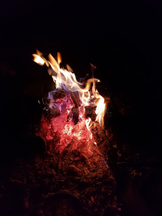 Fire Night Summer Garden Trees Stock Image - Image of night, trees ...