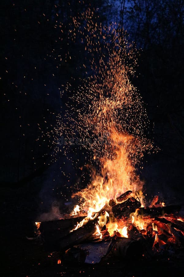 The fire in night stock image. Image of wild, nightfire - 154128701