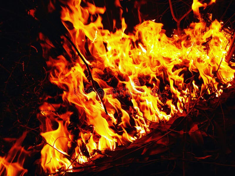 Fire stock photo. Image of think, fire - 119160514