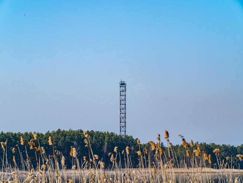 Fire Observation Tower in the Forest Against a Blue Sky Stock Photo ...