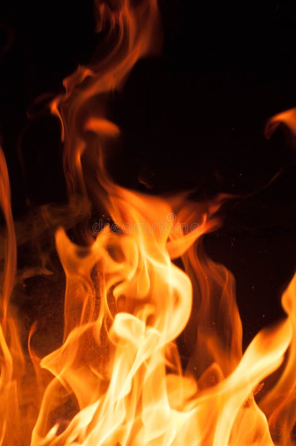 Fire Orange Beaty Orange Color Stock Photos - Free & Royalty-Free Stock ...