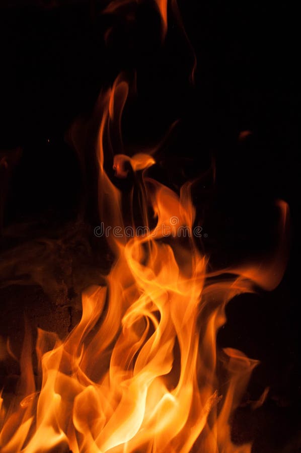 Fire Orange Beaty Orange Color Stock Photos - Free & Royalty-Free Stock ...