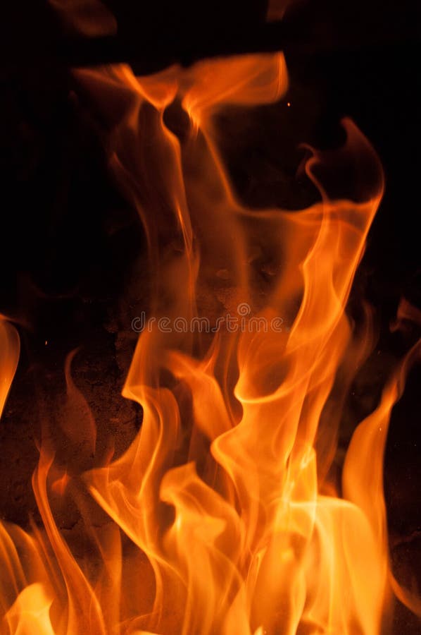 Fire Orange Beaty Orange Color Stock Photos - Free & Royalty-Free Stock ...