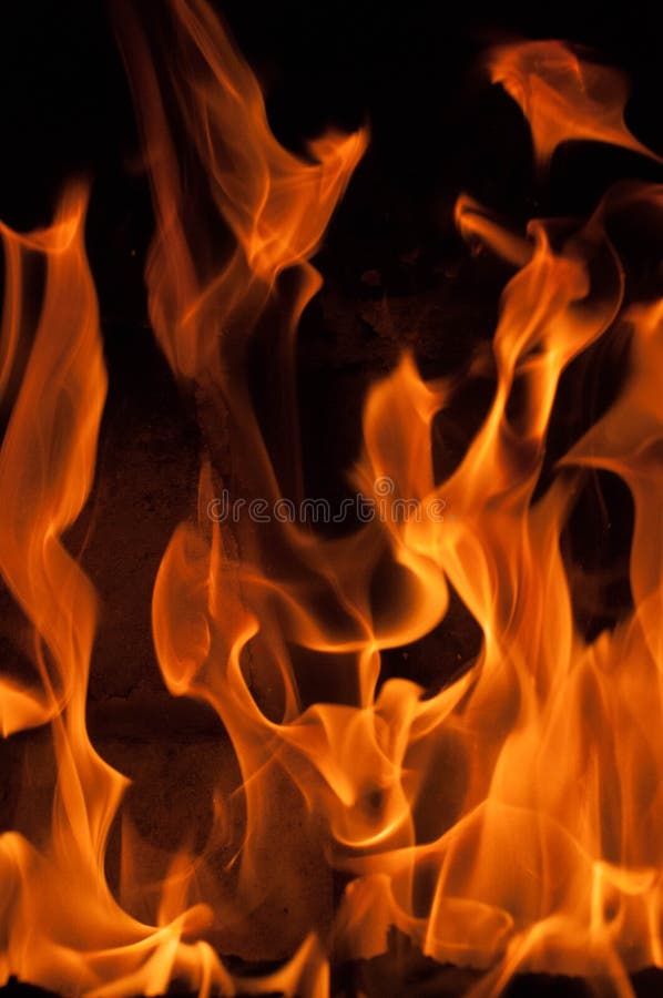 Fire Orange Beaty Orange Color Stock Image - Image of ...
