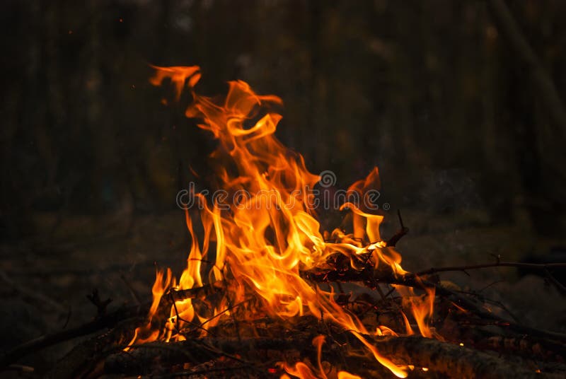 Fire outdoor 3 stock photo. Image of black, outdoors - 41207144
