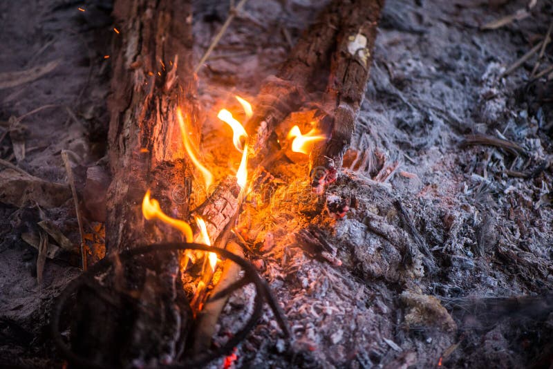 Fire in Outdoors Fire Pit - Camp Fire. Stock Image - Image of fume ...