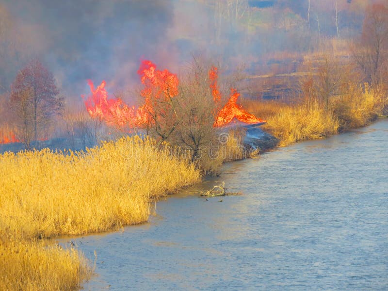 Fire over the river. stock photo. Image of element, field - 38990684