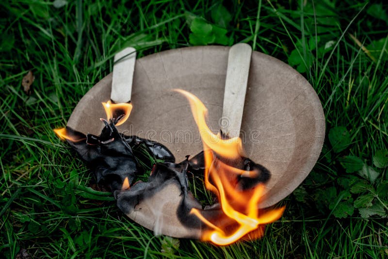 Fire Paper dishes stock image. Image of holding, green - 174839511
