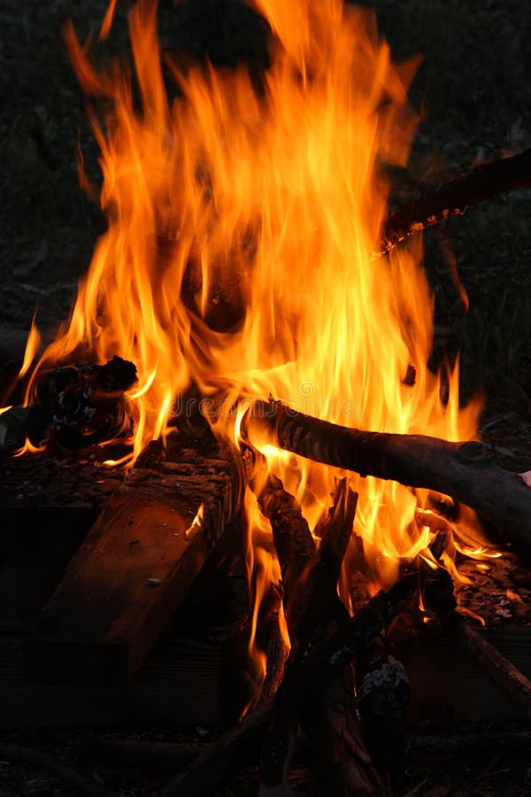 Fire on the picnic stock image. Image of nature, billet - 10414383