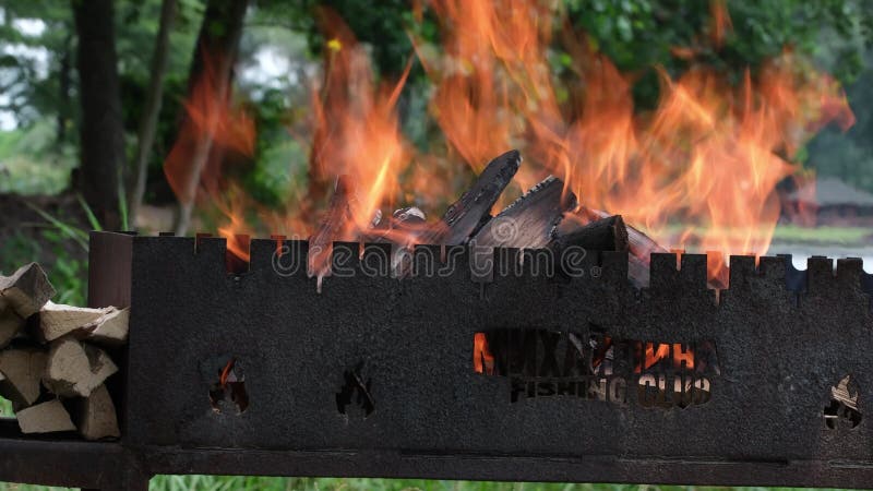 Fire pit burning in forest stock footage. Video of cook - 325067114