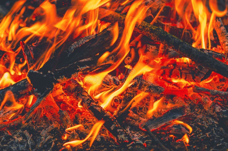 Fire Pit, Wood Burning in the Fire Pit Close-up of Fire Stock Image ...