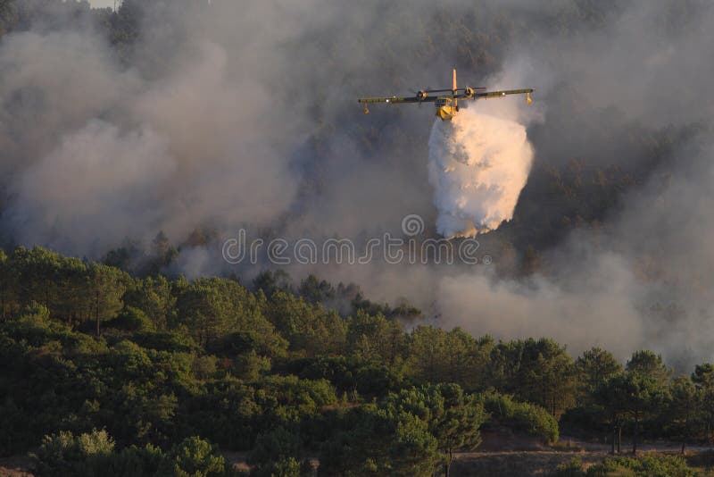 Old fire plane stock image. Image of propeller, plane - 54538803