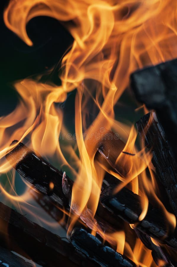 Warm Fireplace. Fire, Process of Burning of a Tree Stock Photo - Image ...