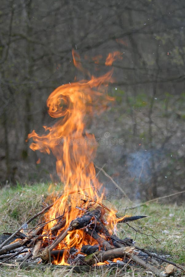 Fire rabbit stock image. Image of camping, color, embers - 2202381
