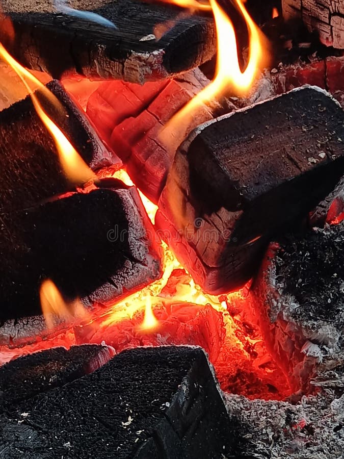 Fire in the rainy season stock photo. Image of wildfire - 202610502