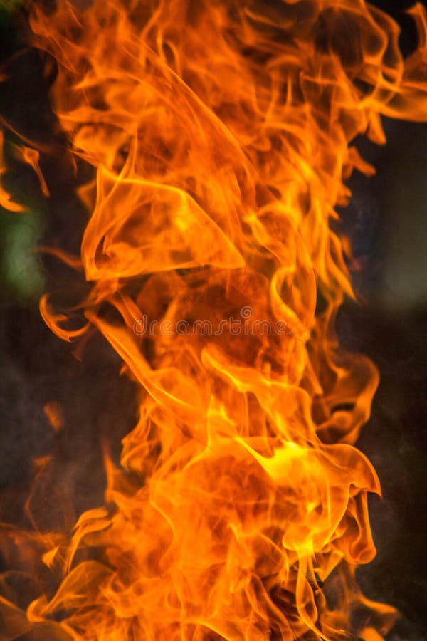 Fire stock photo. Image of yellow, landscape, fire, nature - 95294916