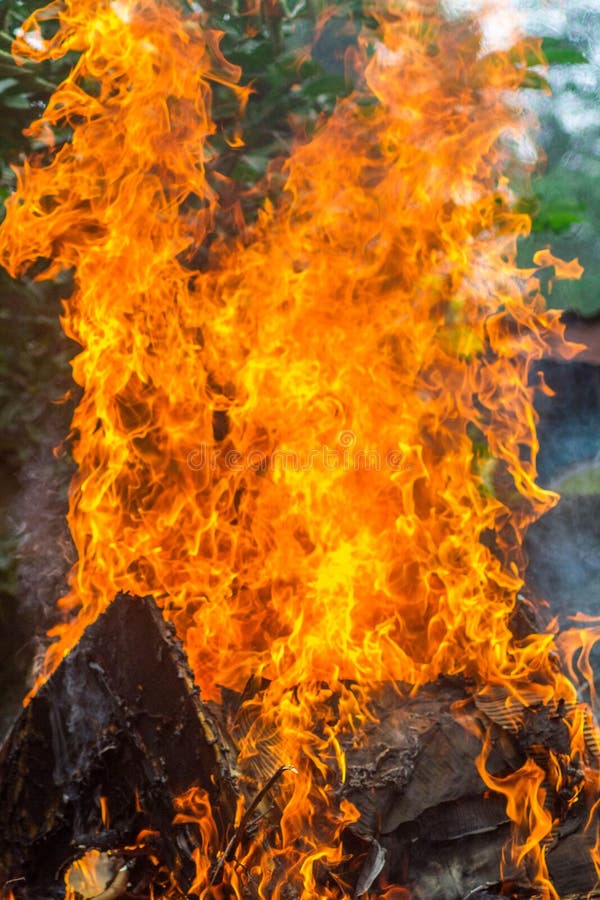 24,619 Fire Ground Stock Photos - Free & Royalty-Free Stock Photos from ...