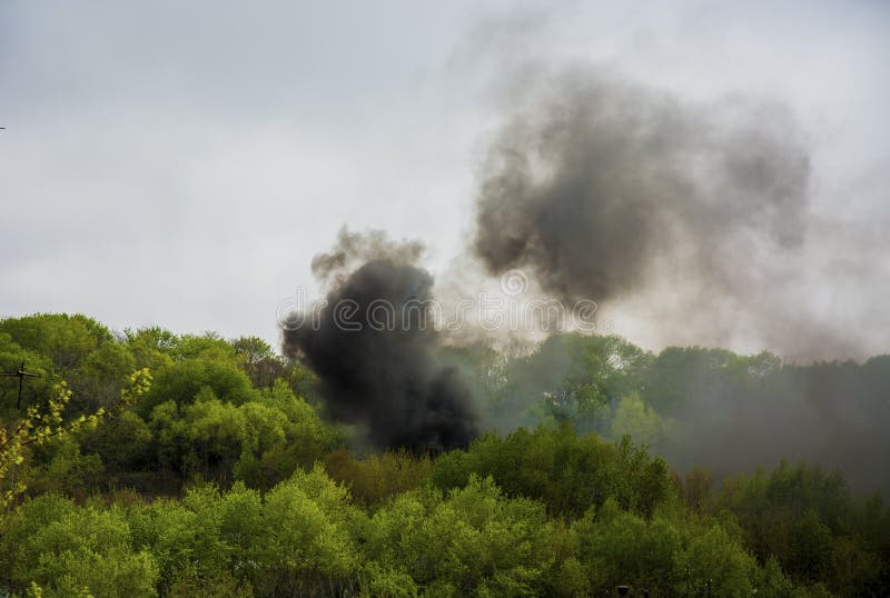 Lord Of The Flies Forest Fire