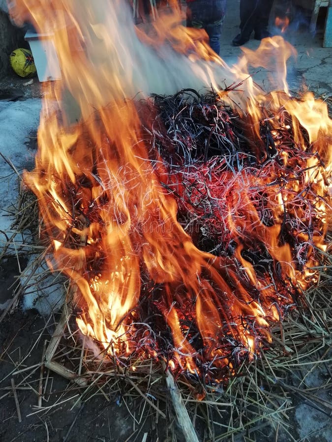 Fire ritual 555 stock photo. Image of glamorous, renaissance - 139767844