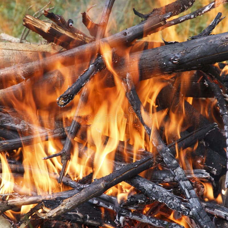Fire Roast Flame. Be Careful in the Forest! Stock Image - Image of ...