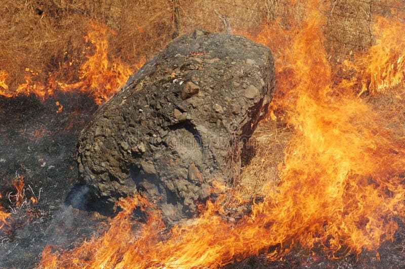 Fire and Rock stock image. Image of wildland, fuel, stubble - 24162473