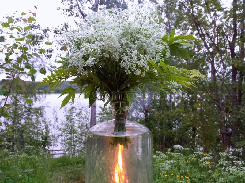 Fire root stock image. Image of midsummer, fire, vase - 44053329