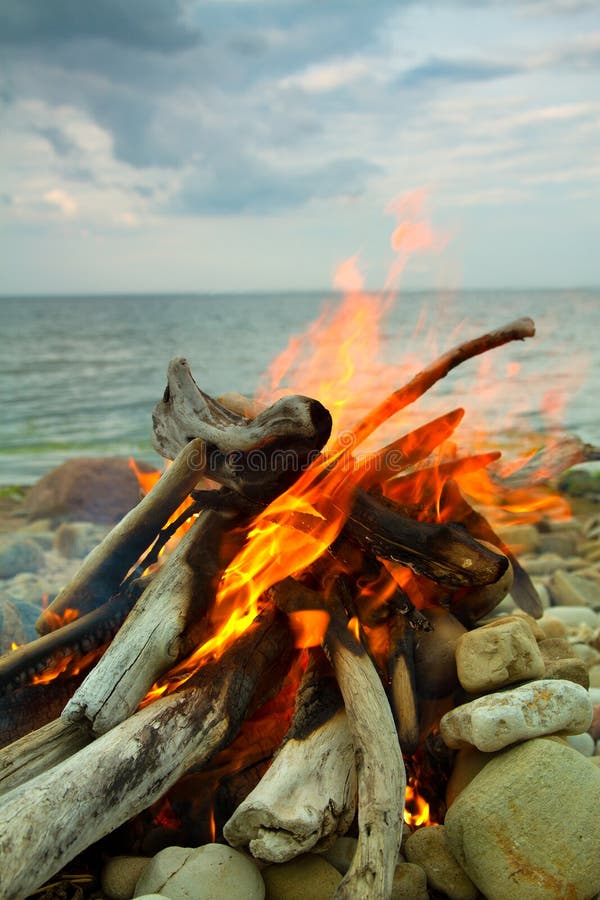 Campfire on the beach stock image. Image of roast, marshmellows - 32968125