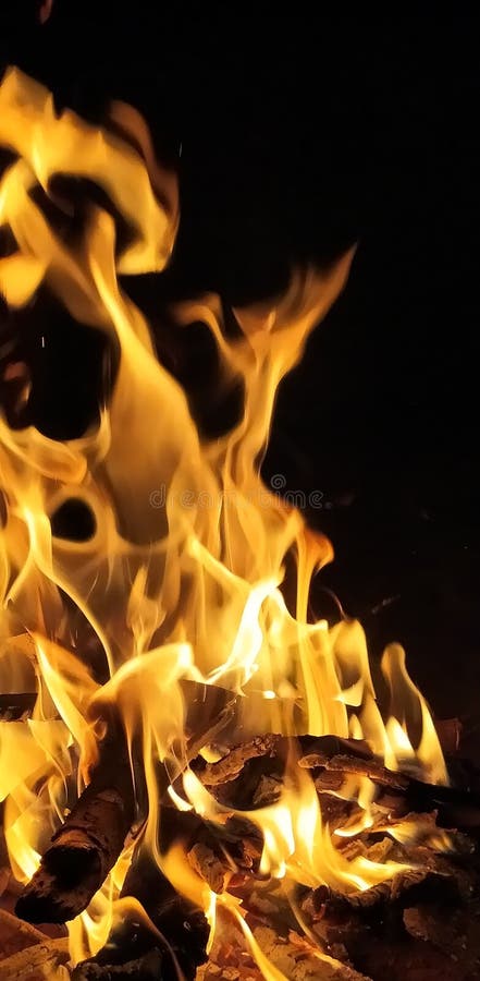 Fire shape stock image. Image of font, flame, fire, quail - 227646607