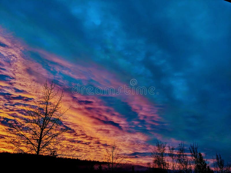 Fire in the sky stock photo. Image of fire, burning - 163138514