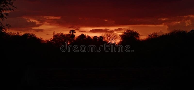 Fire on the Sky with a Beautiful Nature with Full of Trees Stock Image ...