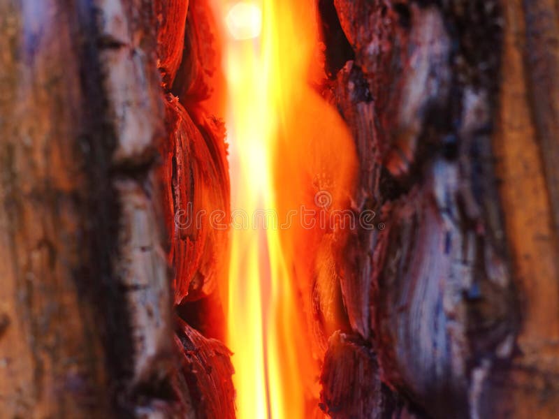 Coloring Wood Burning Stock Photos - Free & Royalty-Free Stock Photos ...