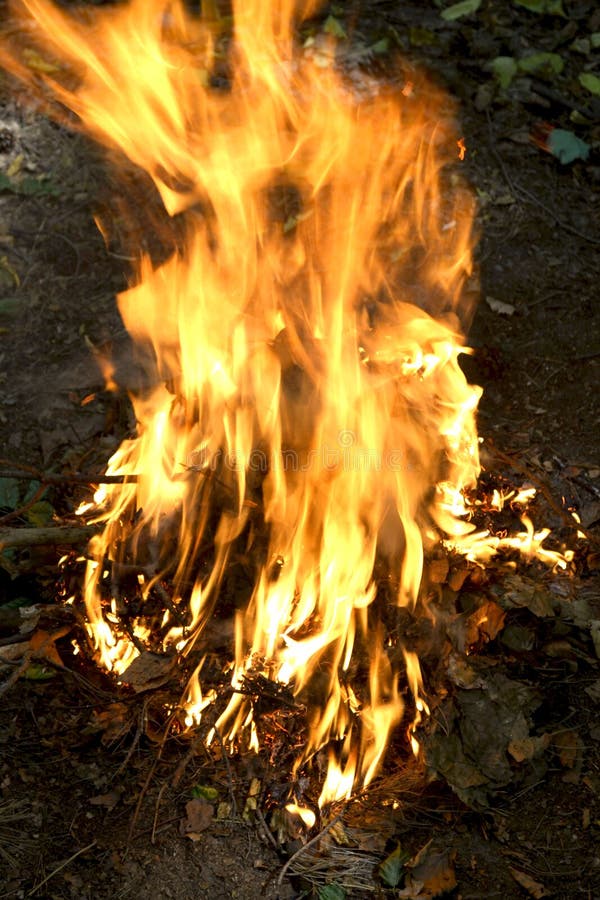 5,074 Small Forest Fire Stock Photos - Free & Royalty-Free Stock Photos ...