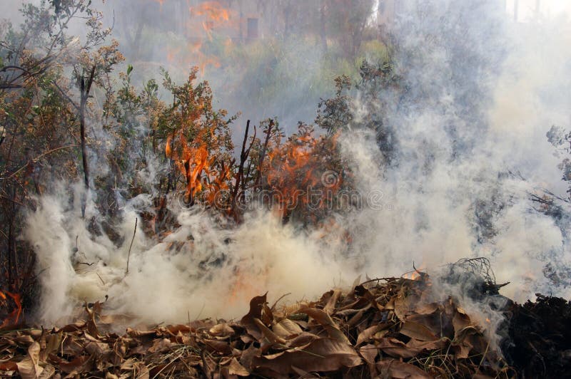 Fire and smoke. stock photo. Image of burning, orange - 17962466
