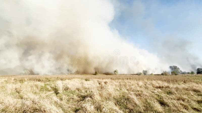 Fire and Smoke. Burning Forest. Natural Disaster from Climate Change ...