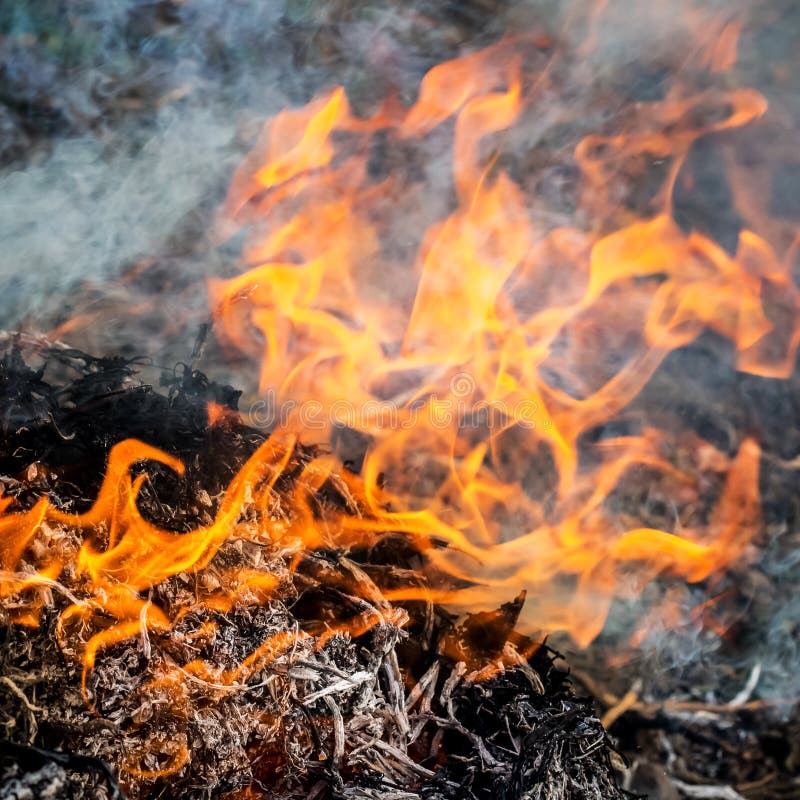 Fire and Smoke from Burning Garbage. Square Format_ Stock Photo - Image ...
