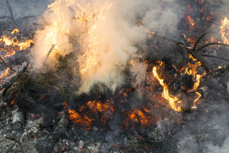 Fire with smoke stock photo. Image of shallow, white - 88154694