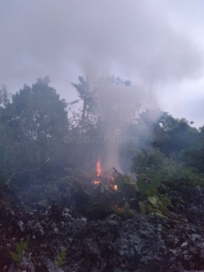 Fire and Smoke in Mountain Garden Stock Photo - Image of mist, garden ...