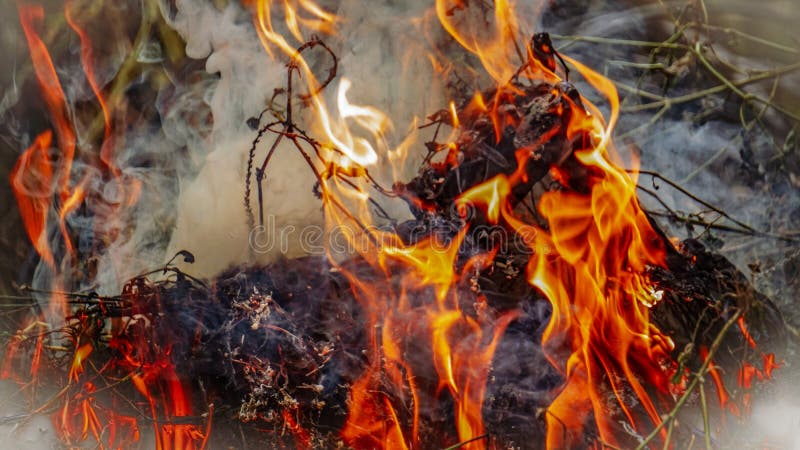 Fire smoke stock image. Image of smoke, heat, fire, smokey - 134576003