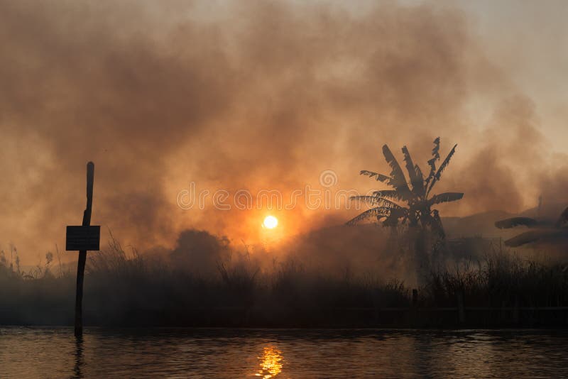 Fire and Smoke on Tropical Fields Stock Photo - Image of dark, disaster ...