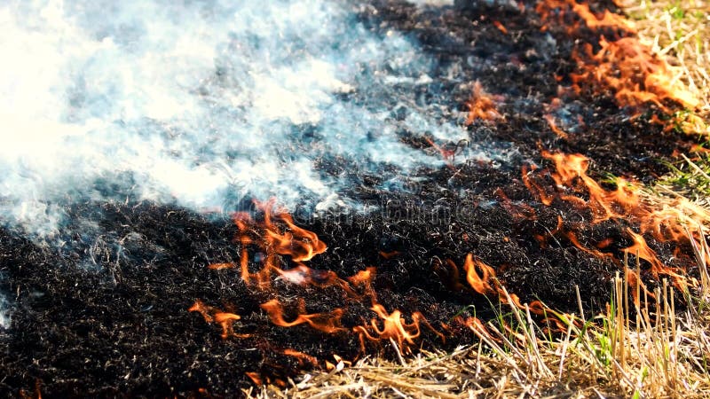 The Fire that Was Smoldering Outside the Room, Had Burned Down a ...